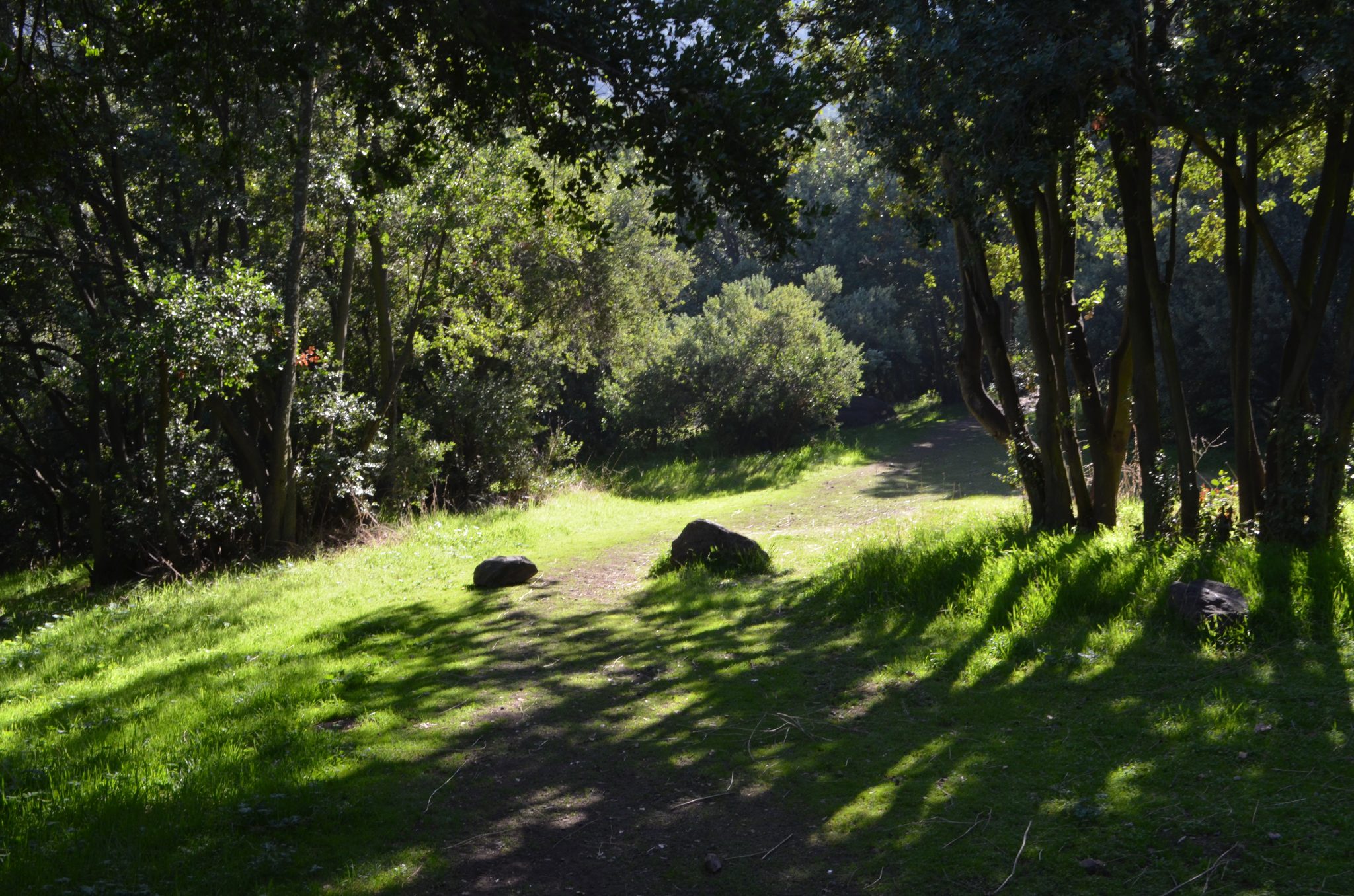 Parque Natural Quebrada de Macul - Enlace Sur